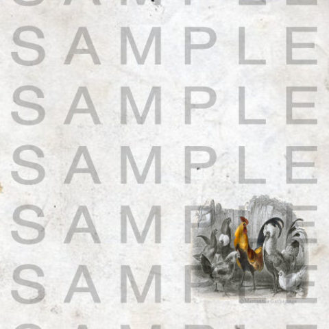 Primitive Hen House Sticky Note Pad - Country Rustic Magazine